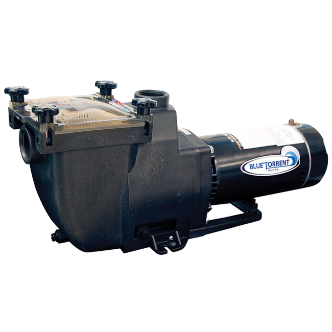 Blue Torrent Typhoon 1.5 HP 48-Frame Inground Pool Pump - Energy-Effic ...